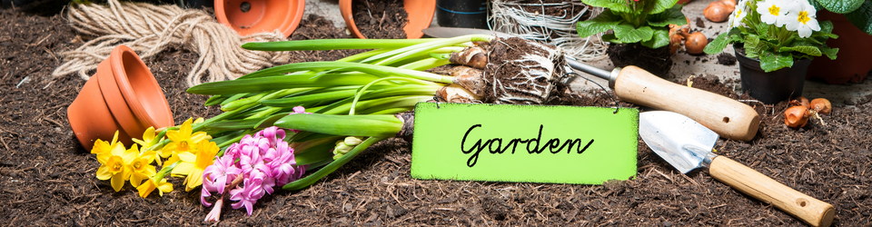 Early Spring Gardener's Calendar | Mostardi Nursery